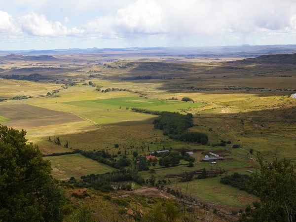 Brûe vir omgewingsbewaring gebou | Landbou