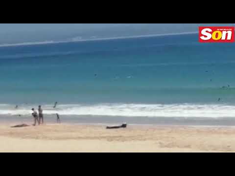 Mosselbaai strand blyk oop te wees | Die Son
