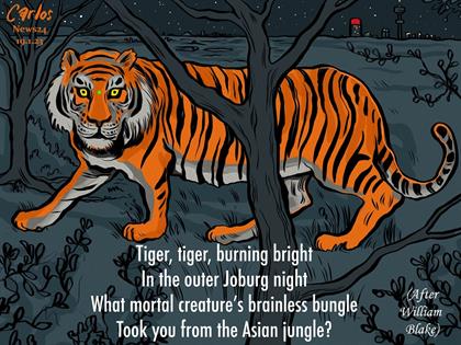 CARTOON BY CARLOS | The brainless bungle of Sheba the tiger | News24