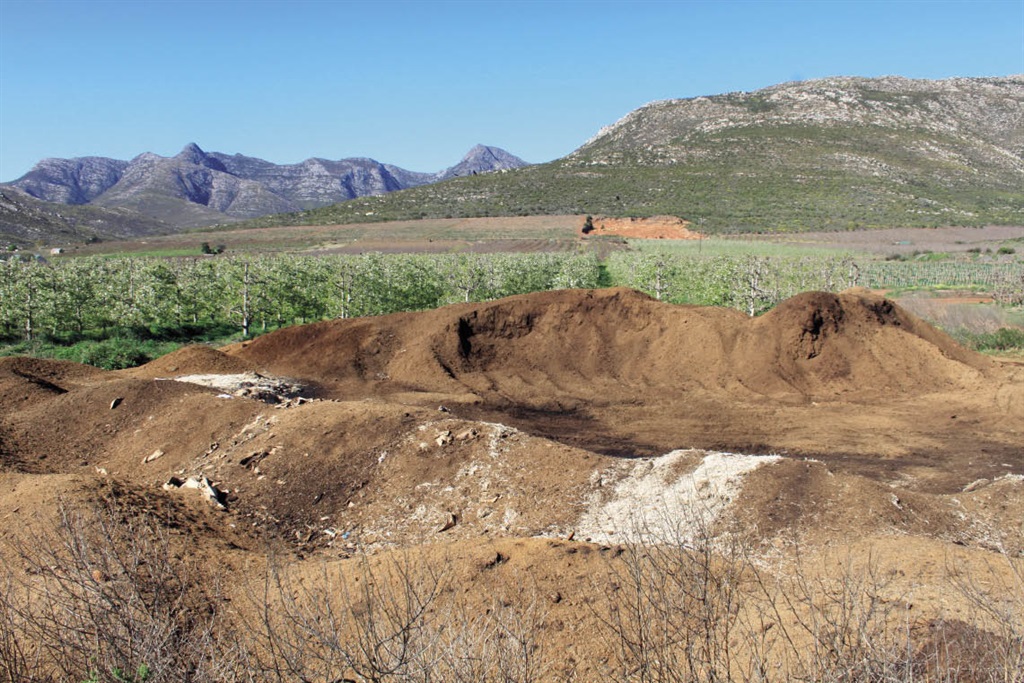 Hoenderkoninkryk tussen die Langkloof se appels en pere | Landbou