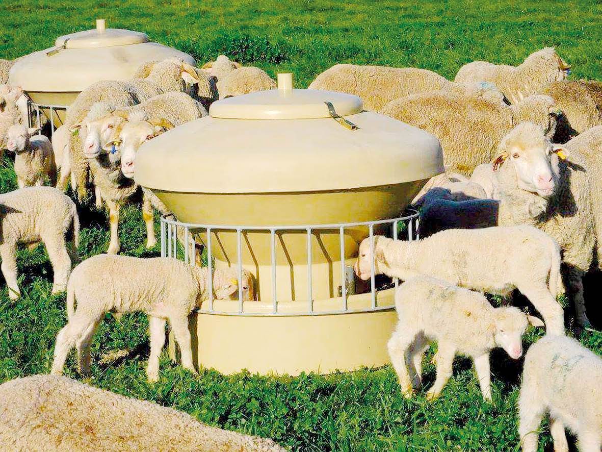 Voerbakke vir vee en wild beperk vermorsing | Landbou