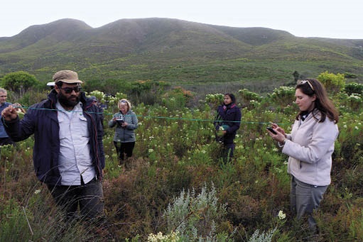 Fynbos-toepassing ontwikkel vir beter veldbestuur | Landbou