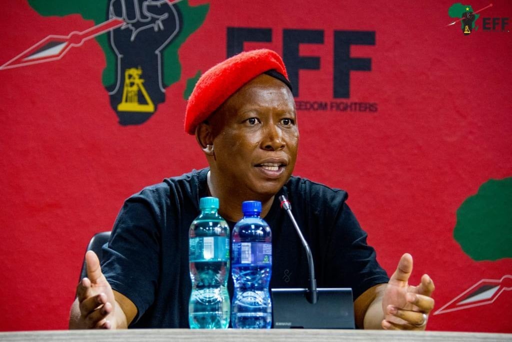 Malema, Snyman want magistrate to recuse herself! | Daily Sun