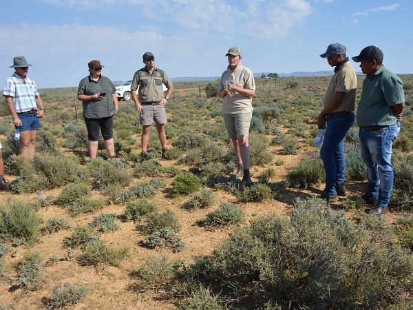 ’n Weidingstelsel en rus gee deurslag by veldbestuur | Landbou