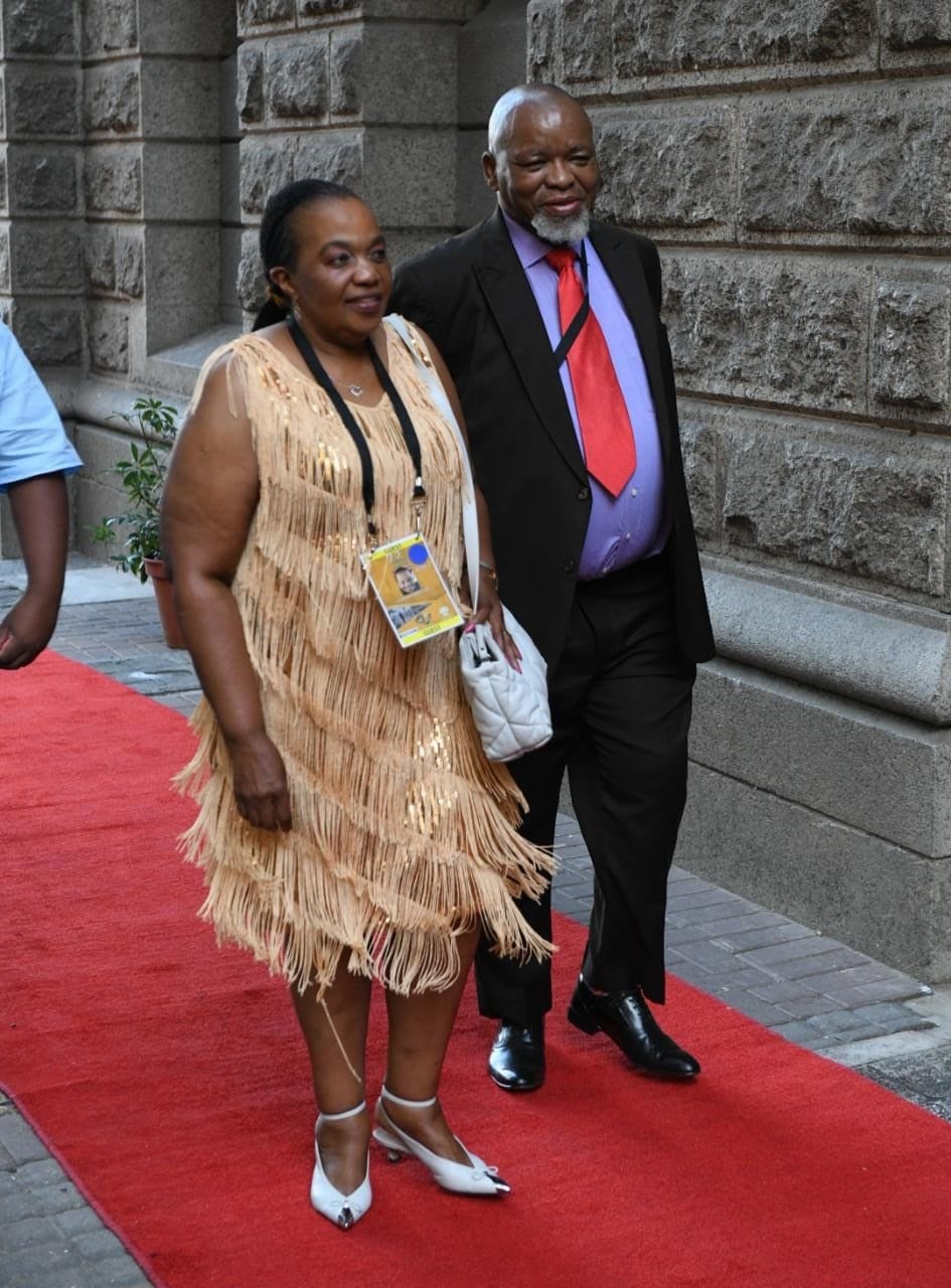 Photos | Officials arrive for President Ramaphosa's Sona | News24