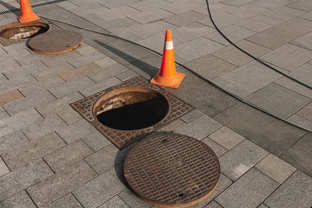 Calf killed after falling into open manhole in Western Cape | News24
