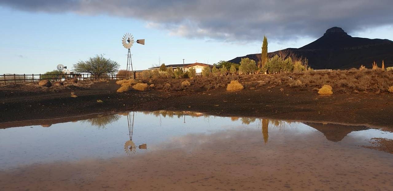 Reën wat oplaas uitsak het boer op hol | Netwerk24
