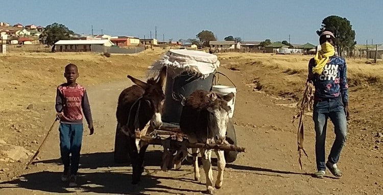 Eastern Cape village without water since 2019 | News24