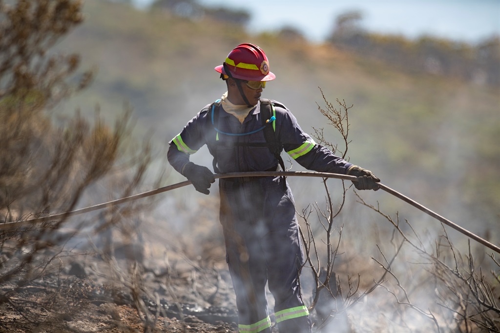 Brande: Botrivier gemonitor, Leeukop in bedwang | Netwerk24