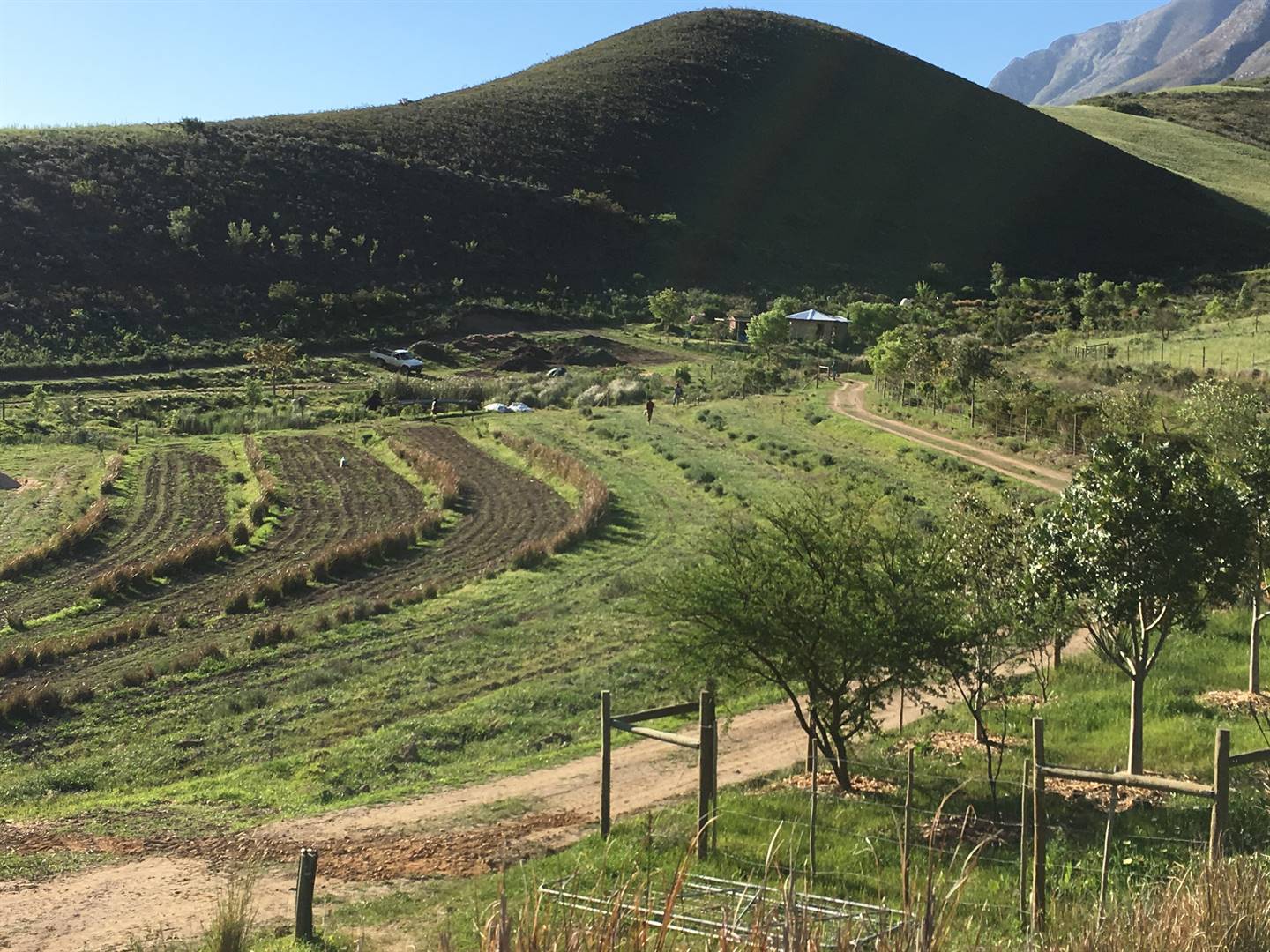 Biodinamiese plaas binnekort op veiling | Die Burger