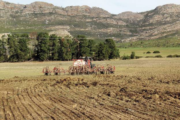 Nuwe superboerdery: As twee volstruisreuse saamsmelt . . . | Landbou