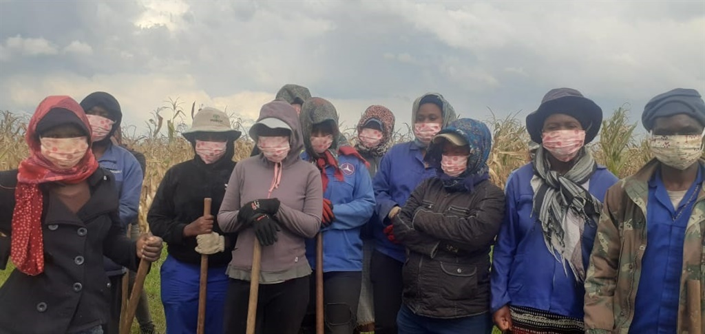 Werkers: Boere het groot verantwoordelikheid | Landbou