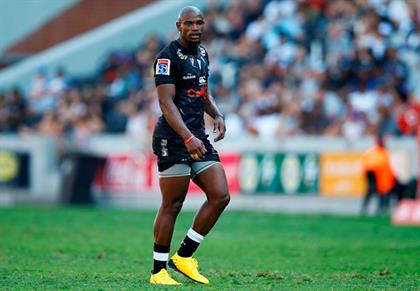 Q&A | Springbok wing Makazole Mapimpi | News24