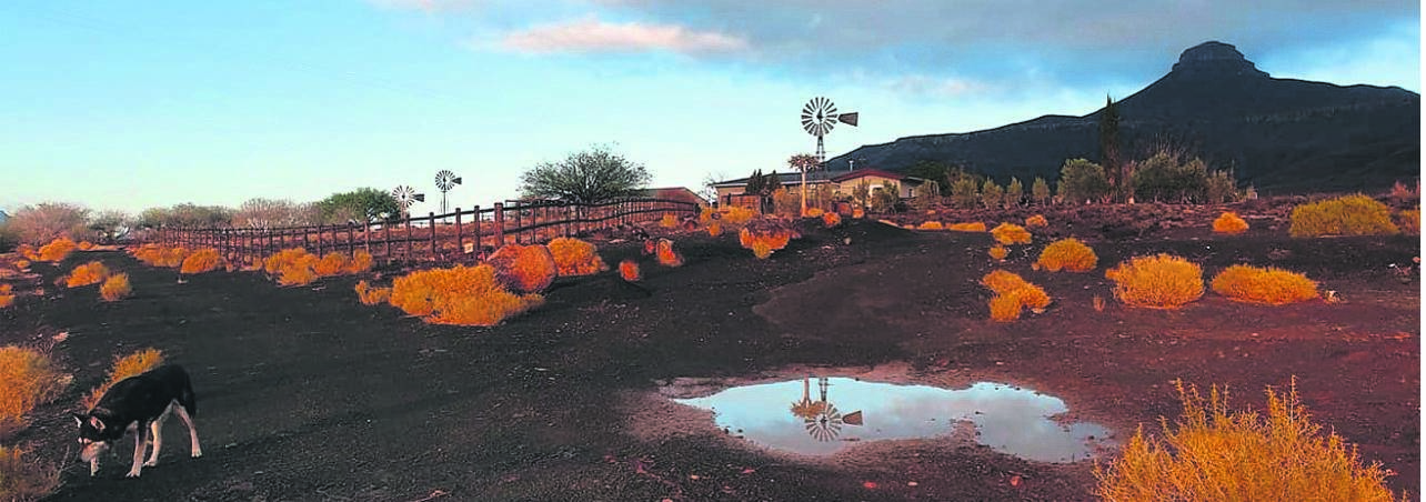 Bring op plaas | Netwerk24