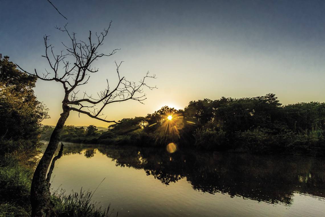 Skuur skouers met die seekoeie | Netwerk24