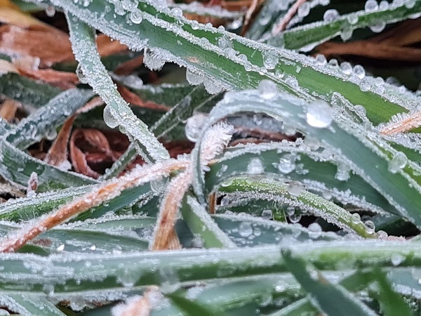 Winter se eerste koue is op pad | Landbou
