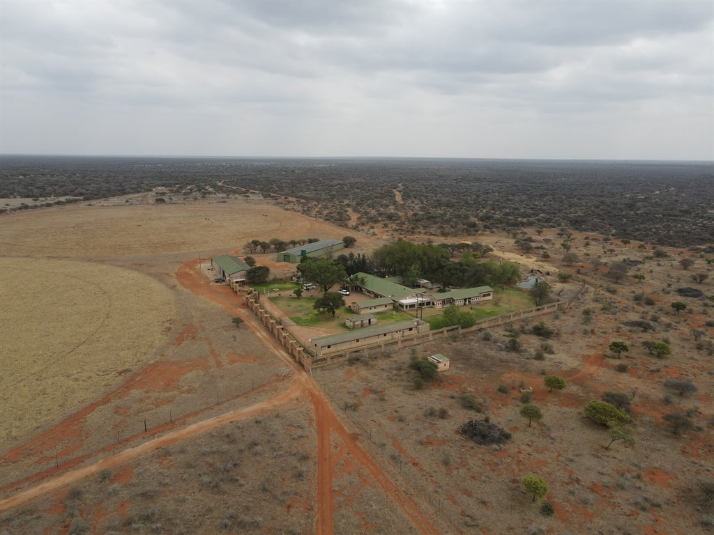 Lieflike wildsplaas binnekort op veiling aangebied | Landbou