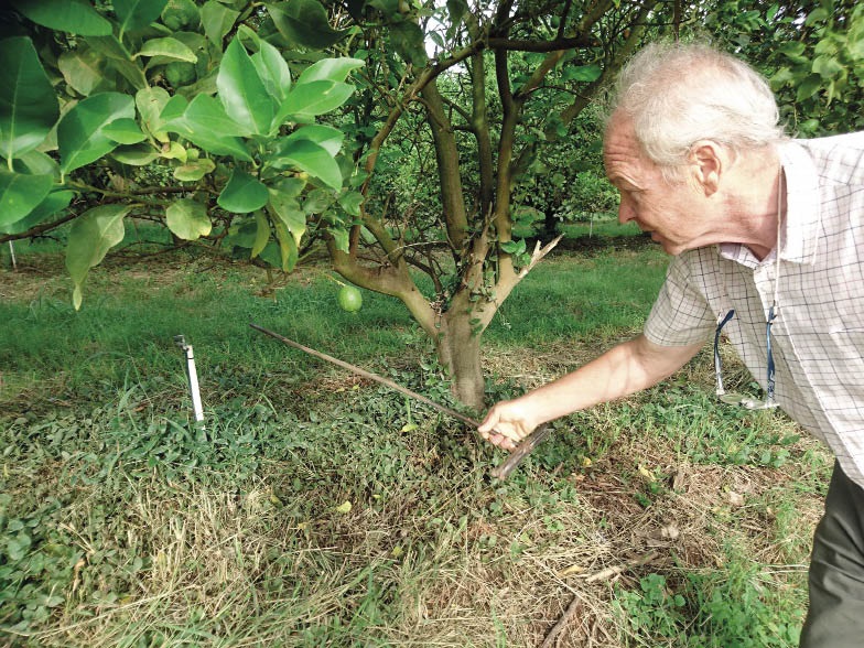 Voed jou grond en pluk die vrugte, sê organiese boere | Landbou