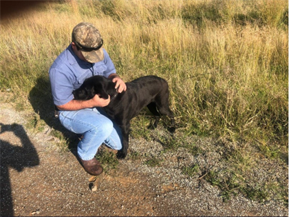 Free State woman and her terrified Labrador reunited after crash | News24