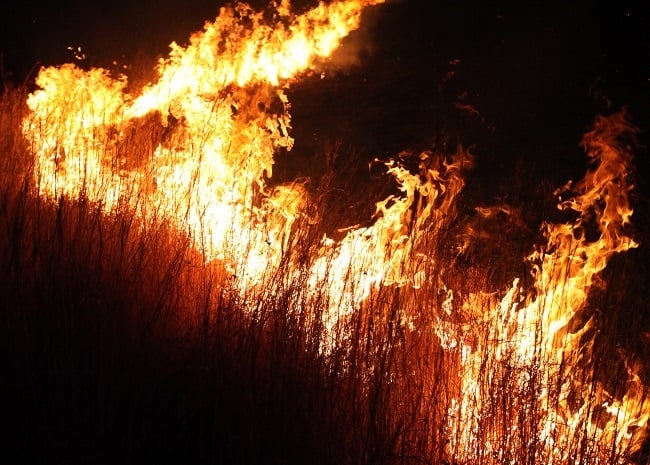 Brande in Vrystaat vir nou onder beheer | Landbou