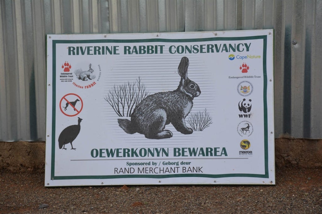 Volhoubare veldbestuur kan oewerkonyn red | Landbou