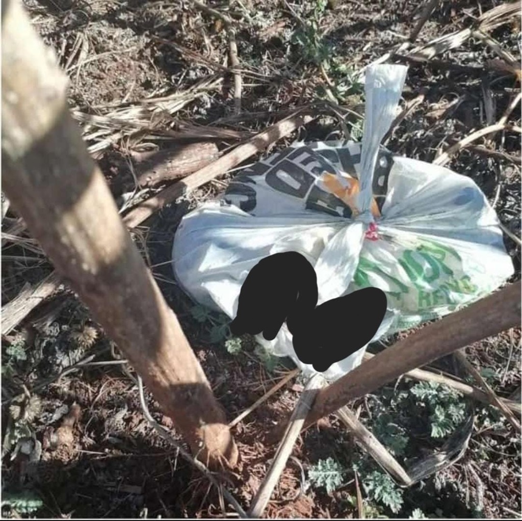 Dumped newborn baby found alive wrapped in plastic in Mpumalanga | News24