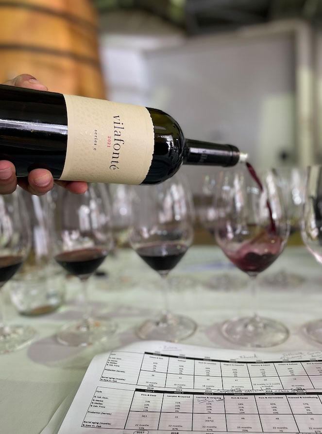 A LITTLE BACKGROUND | 21 Vintages of Vilafonté | News24