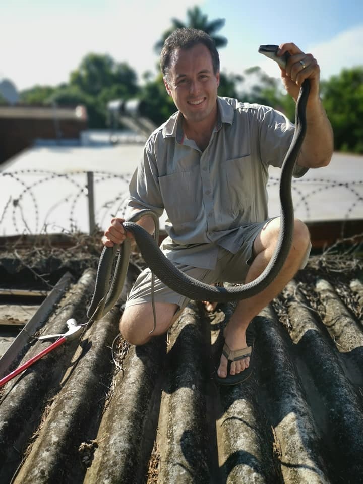 Mamba No 2: Massive snake has surprise 'roommate' in KwaZulu-Natal home ...
