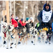Mens se beste vriend: Buddy en Hartley beskerm 2-jarige wat in woud ...