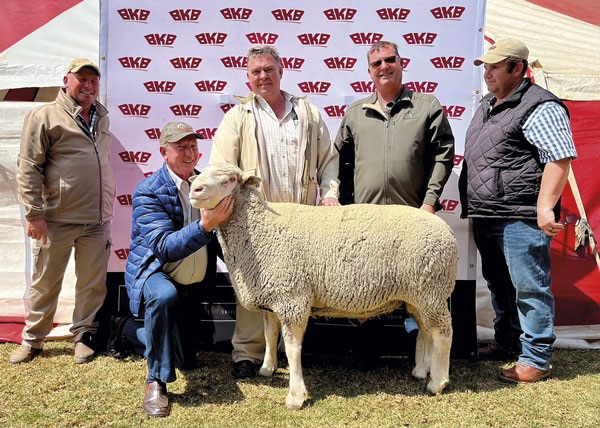 Goeie gemiddelde prys vir SAVM-ramme | Landbou