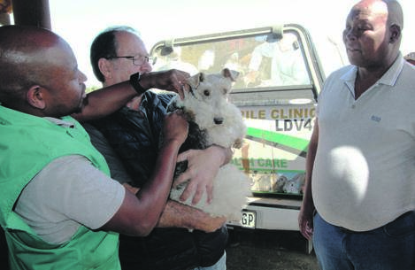 RABIES CASES SPARK ACTION! | Daily Sun
