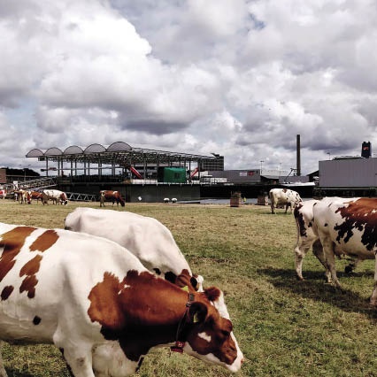 KYK: Drywende melkplaas ’n eerste vir boerdery