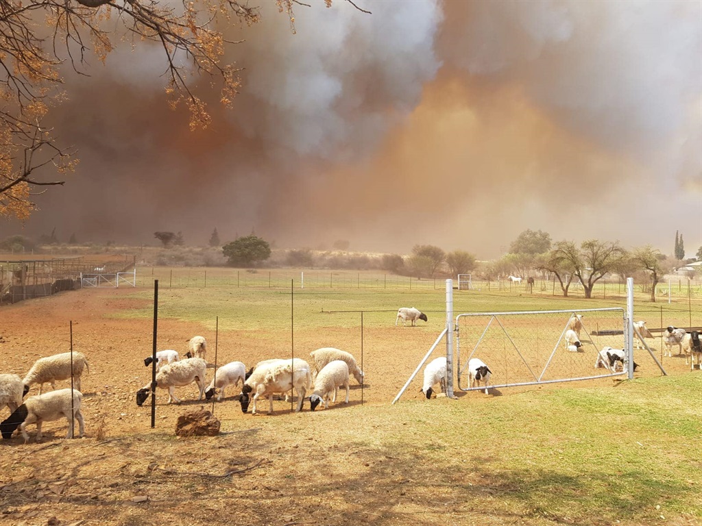 Northern Cape fires: Two choppers and spotters deployed to battle blaze ...