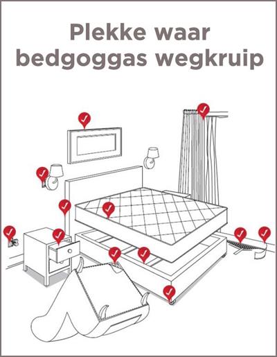 Bedgoggas: Hou dié ongenooide vakansiegaste weg | Netwerk24
