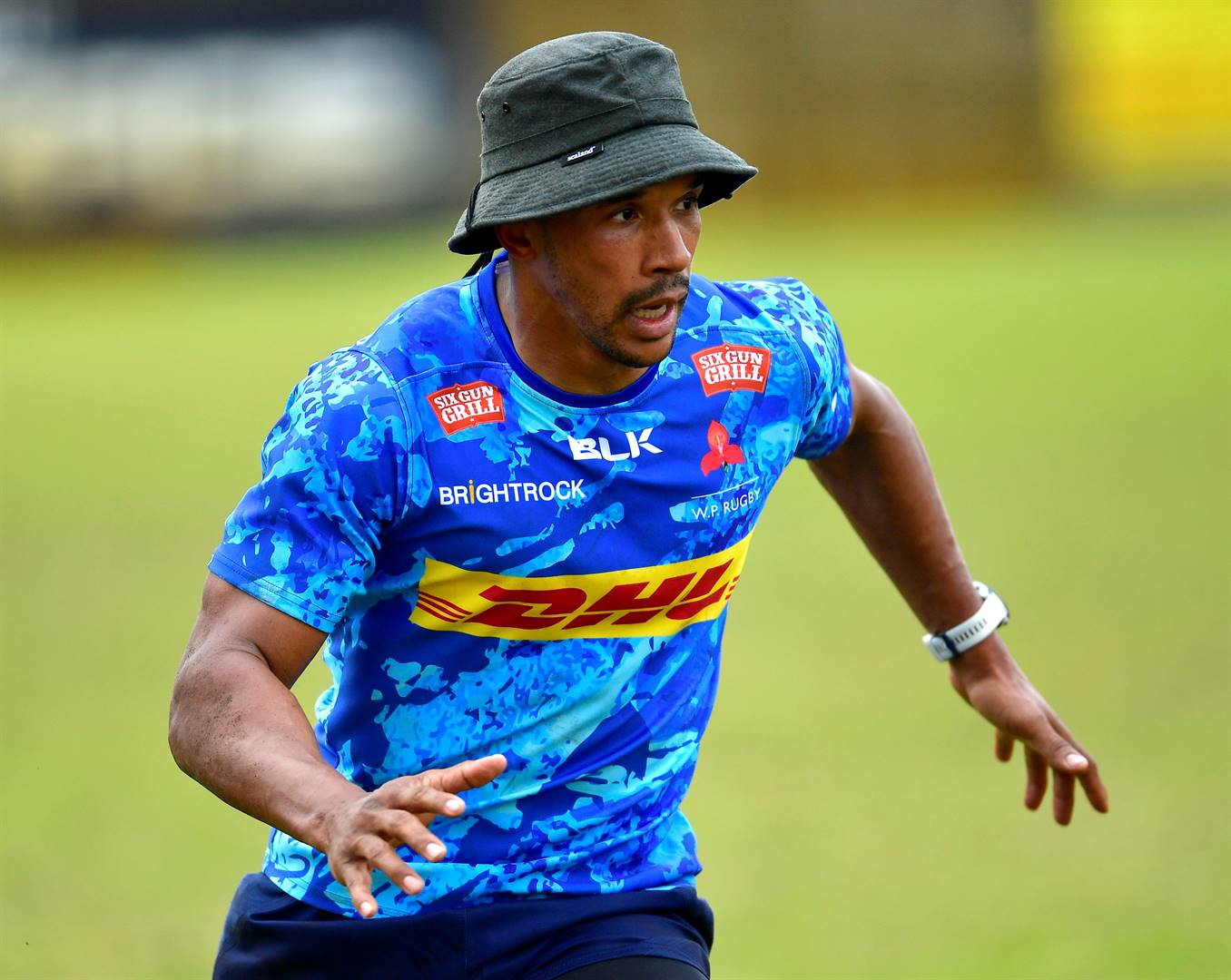 Stormers boelie Arende in George | Netwerk24
