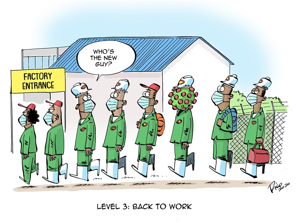 finweek's Top 10 Piker Cartoons in 2020 | News24