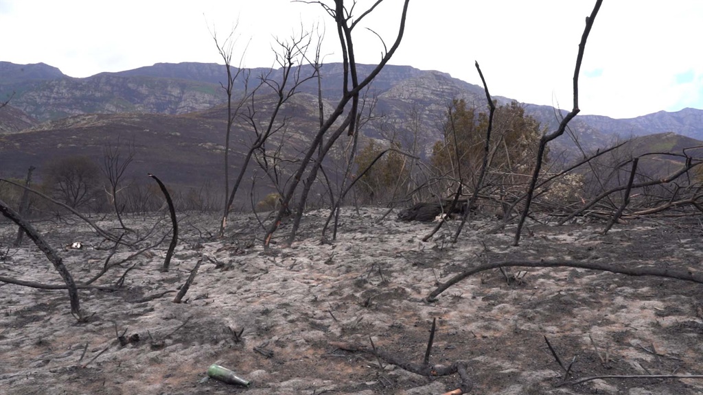WATCH | Overberg fire ripped through 14 000 hectares | News24