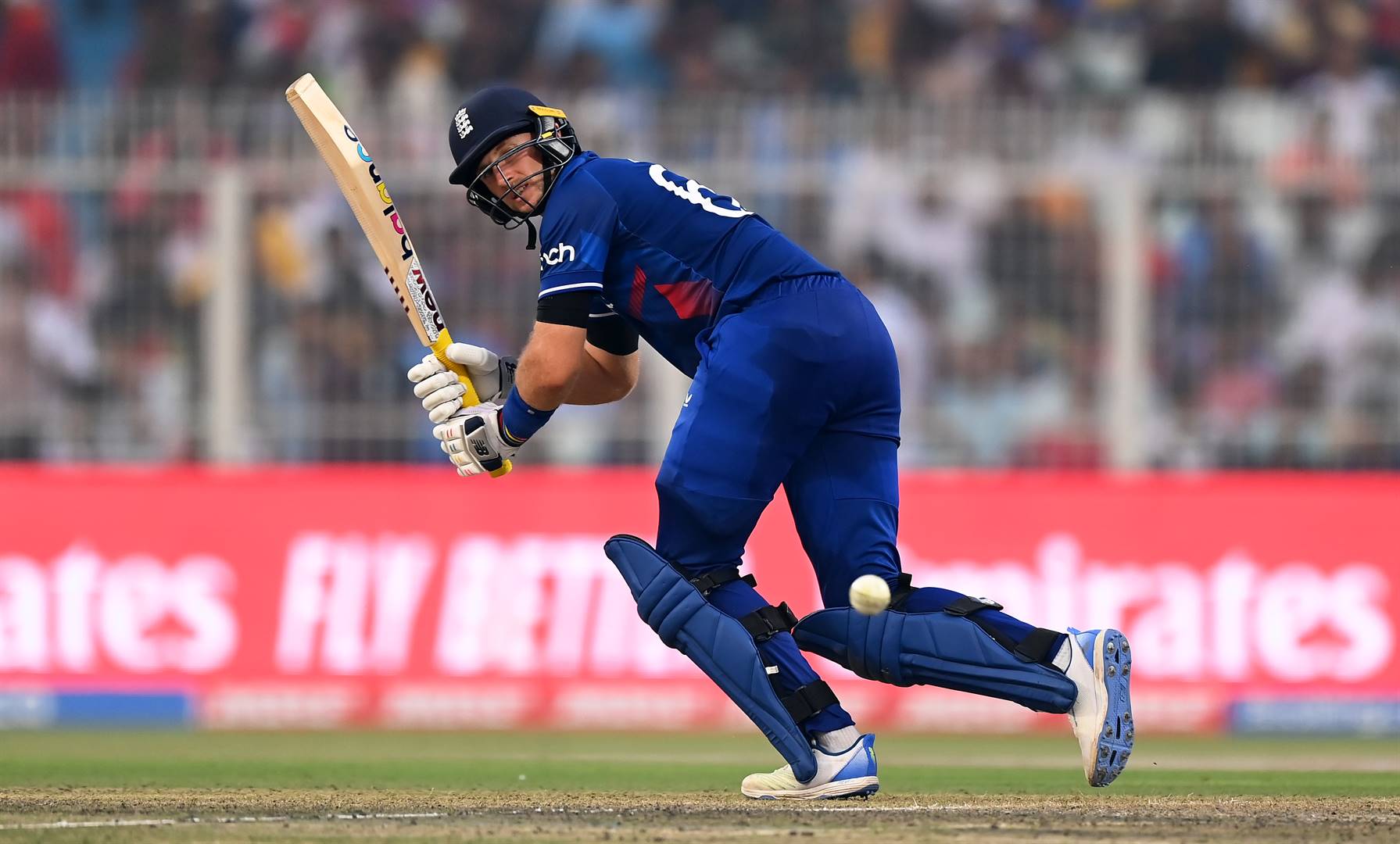 Root sê ook aikôna vir IPL | Netwerk24