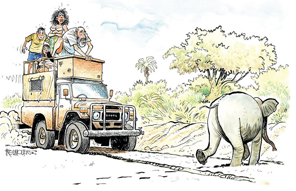 Rubriek: Op ’n dak deur Botswana | Netwerk24