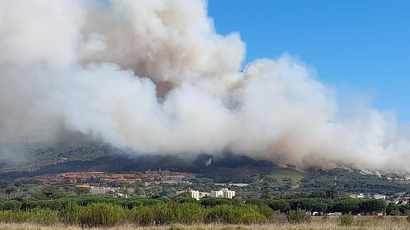 Die Kaap van Goeie Hoop se DBV stuur spanne na Tafelberg om na diere te ...