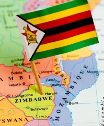 'Zimbabwe drought, food crisis likely to run into 2020' | Daily Sun