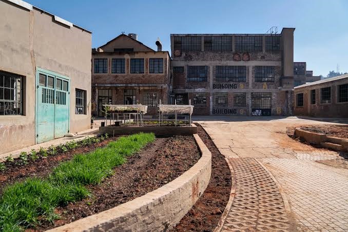 Have a look at the best weekend events for the new month | News24