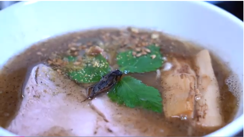 WATCH | Japan insect enthusiast puts cricket ramen on the menu | News24