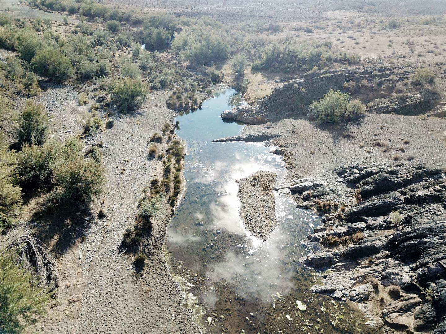 Wild: Hommeltuie kan bewaarders help | Landbou