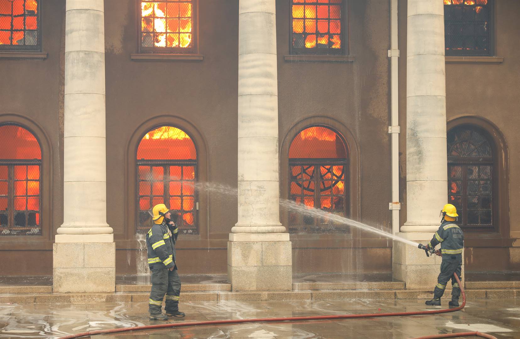 Dennebome: die Kaap se dodelike erfenis | Netwerk24