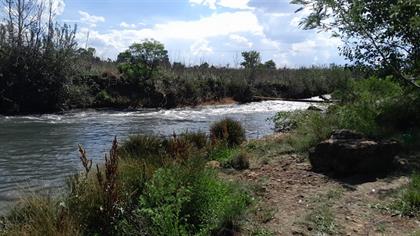 River cleansing claims two lives | Daily Sun