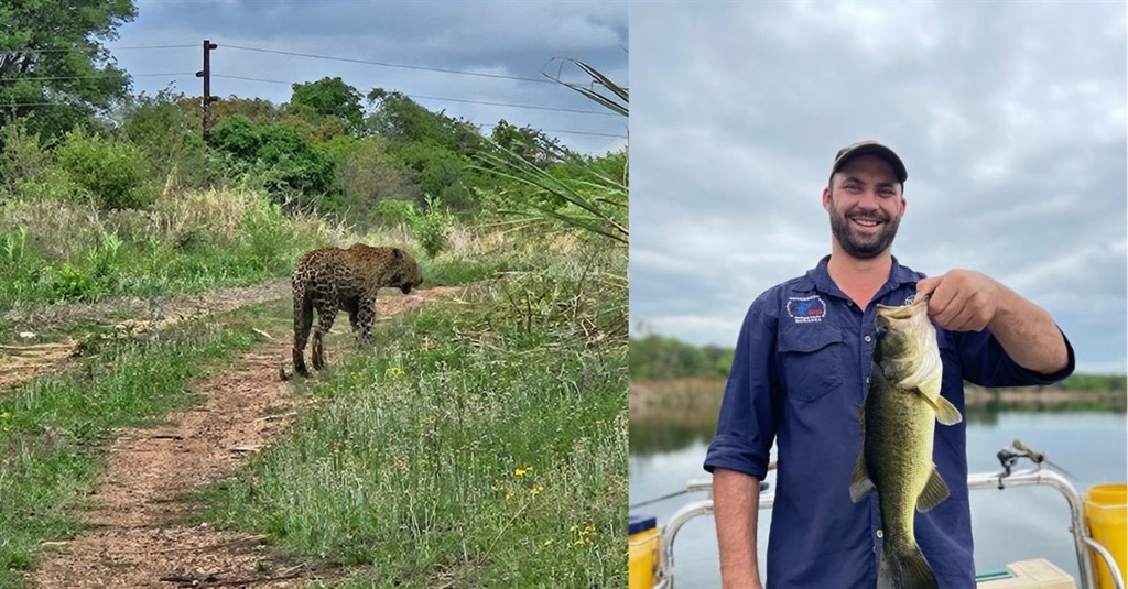 ‘Ek onthou sy geel oë,’ sê boer wat oorleef ná luiperd hom pak | Huisgenoot