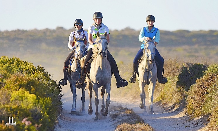 Saldanha-uithourit: Son, sand en salpeter | Landbou